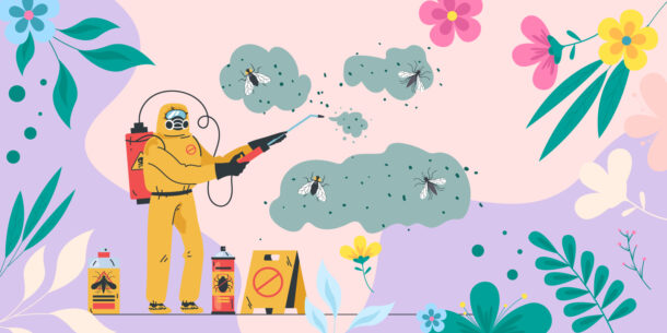 Spring Pest Control After Winter Thaw [Plus 10 Common House Pests] - My ...